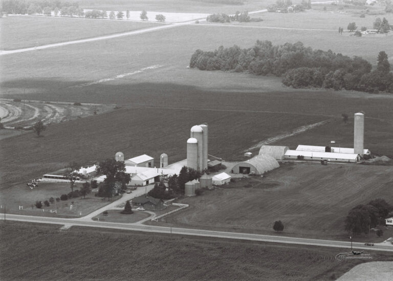 About Stanton Genetics | Over 70 Years of Dairy Farming Excellence ...