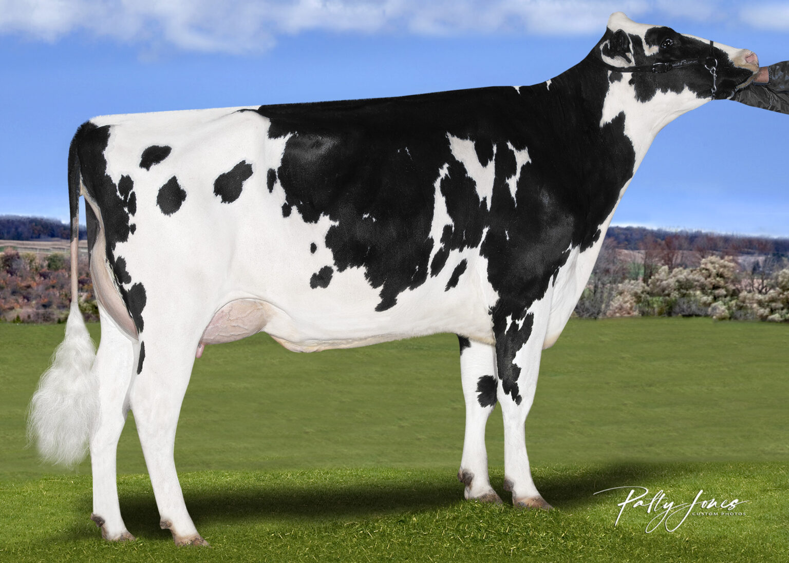 Stanton Genetics | Sustainable Holstein Dairy Farm | Innovation in Family Farming