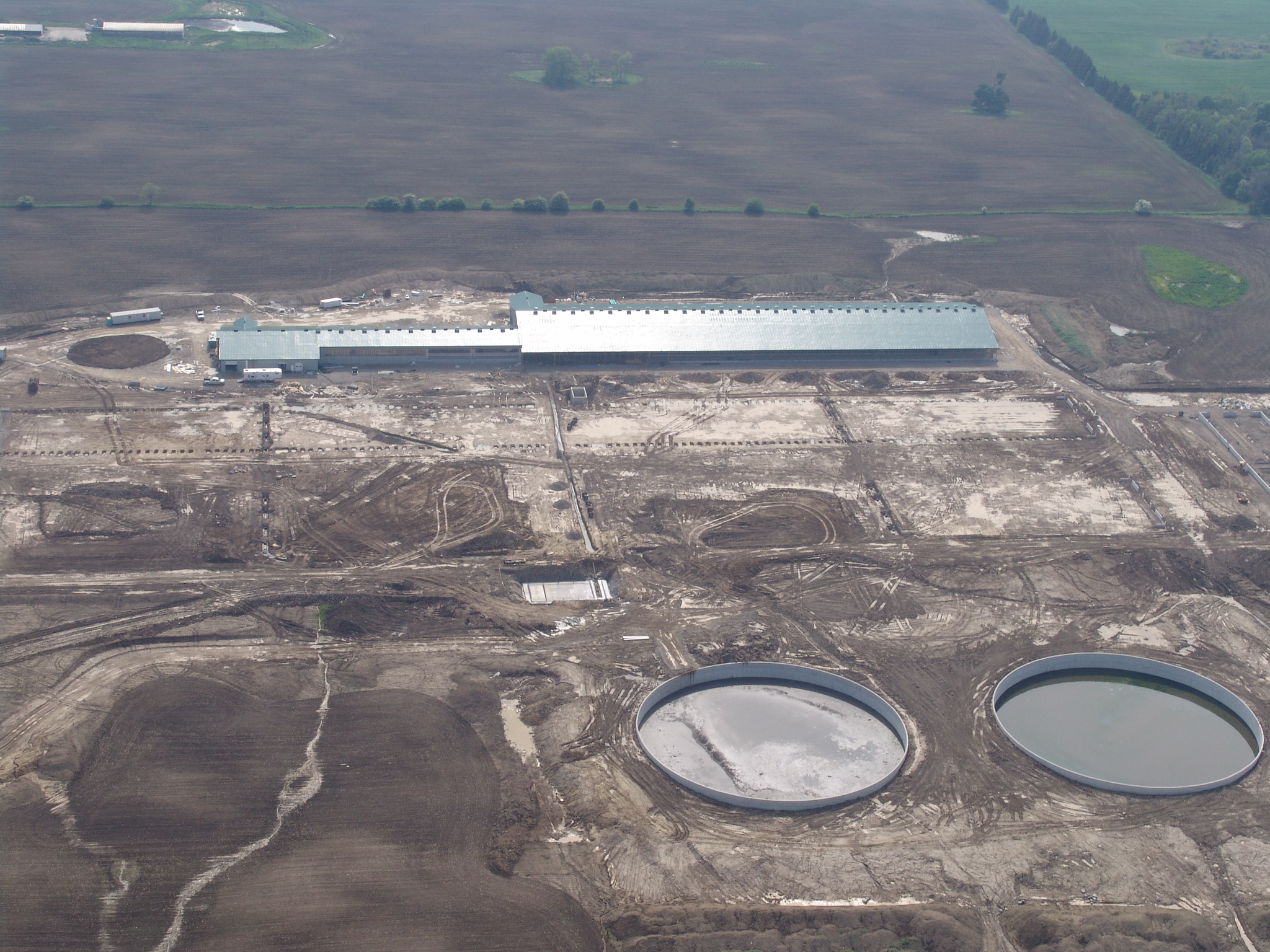 About Stanton Genetics | Over 70 Years of Dairy Farming Excellence ...