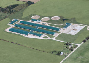 About Stanton Genetics | Over 70 Years of Dairy Farming Excellence ...
