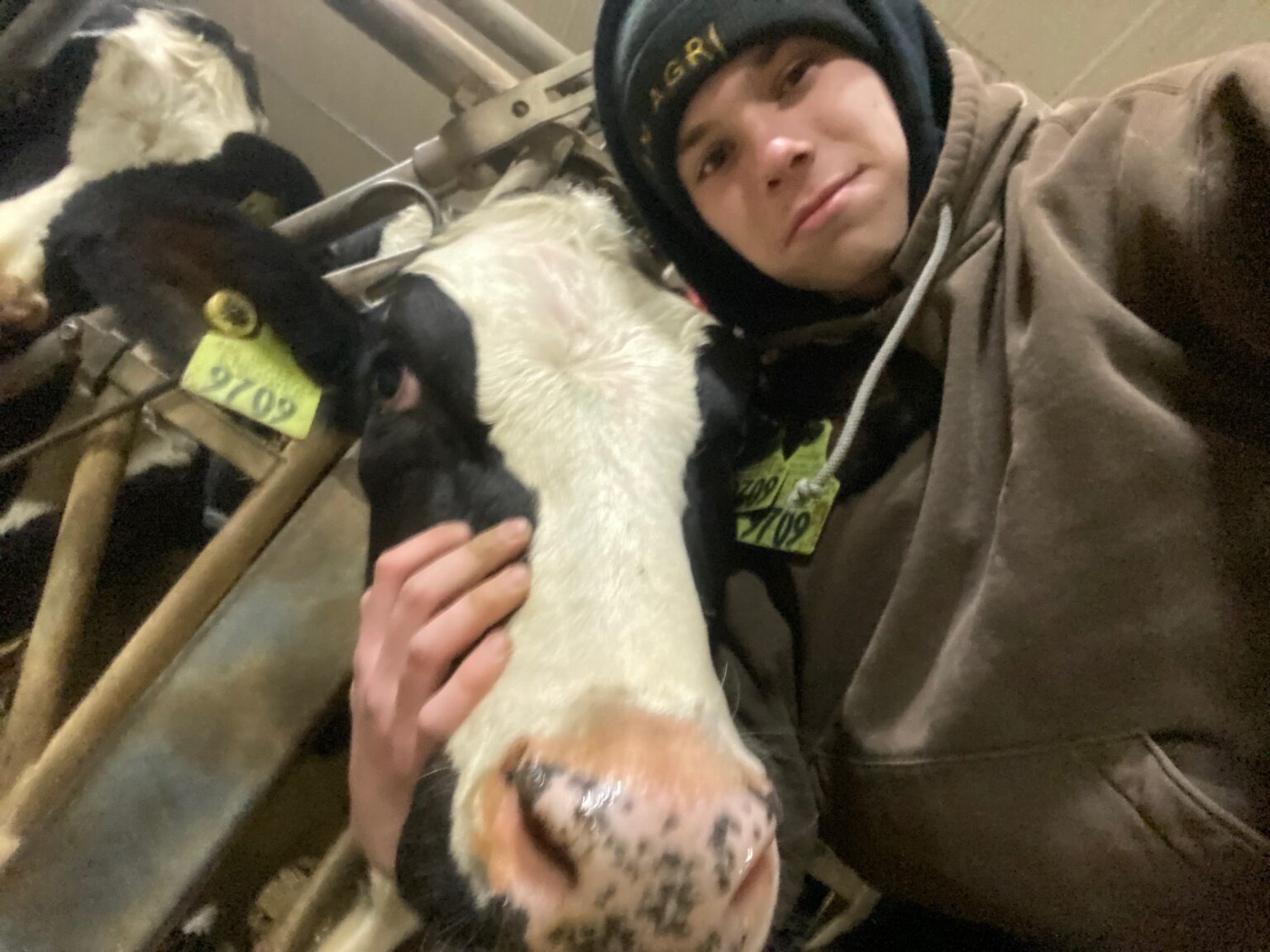 Gallery | Stanton Genetics | Capturing Our Dairy Farm's Essence