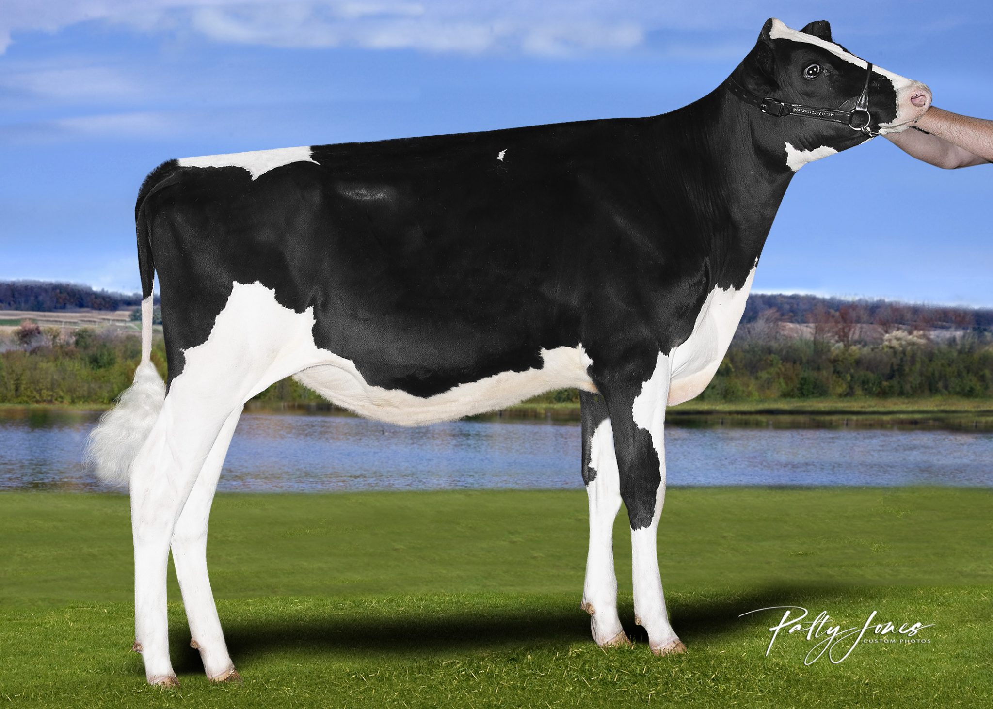 Donors – Stanton Genetics