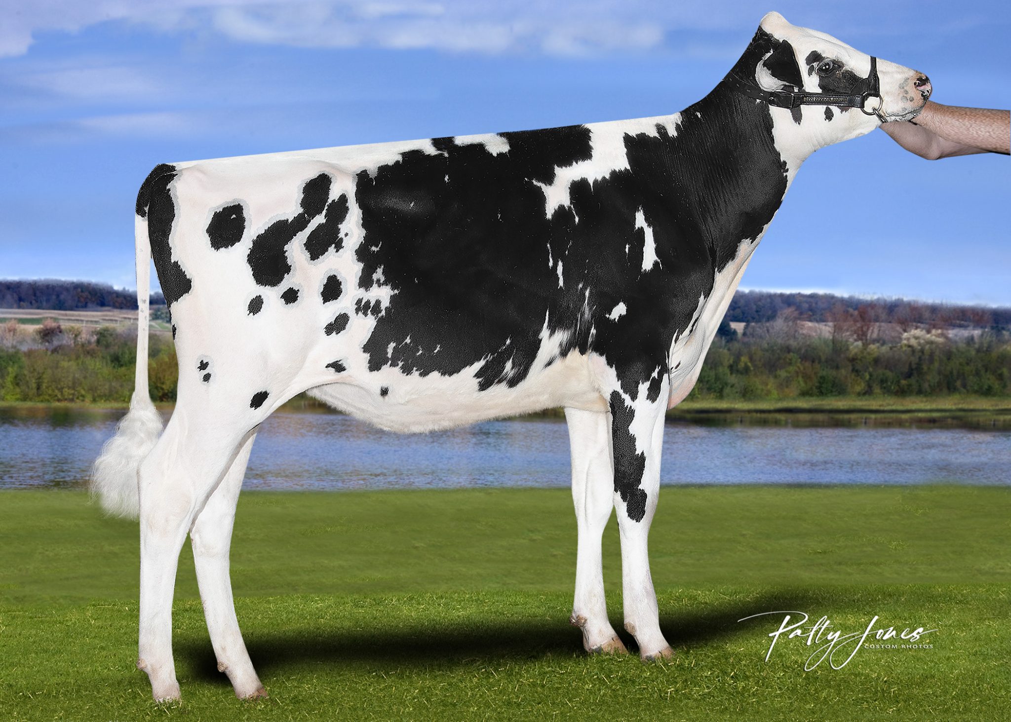 Donors – Stanton Genetics