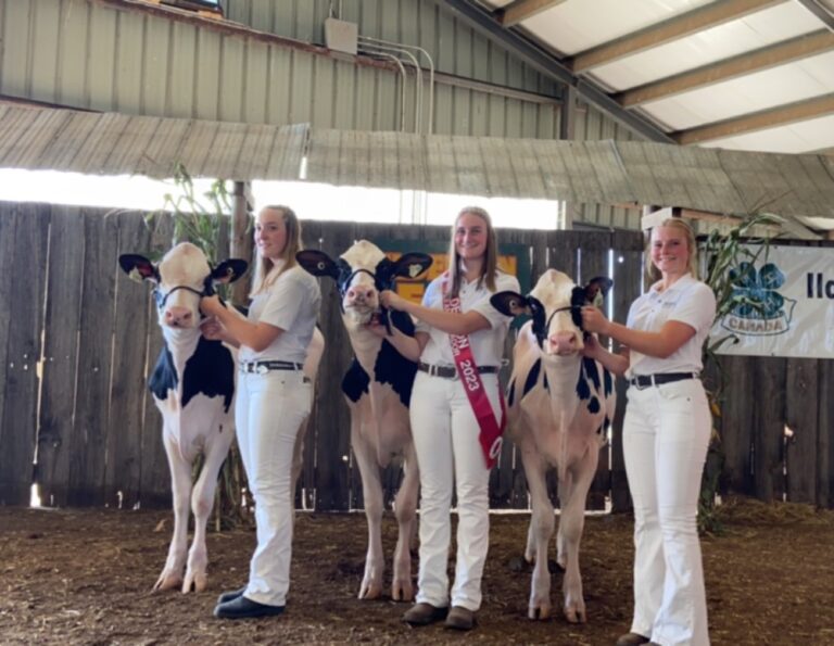 Gallery | Stanton Genetics | Capturing Our Dairy Farm's Essence