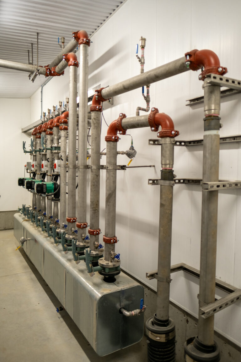 Gallery | Stanton Genetics | Capturing Our Dairy Farm's Essence