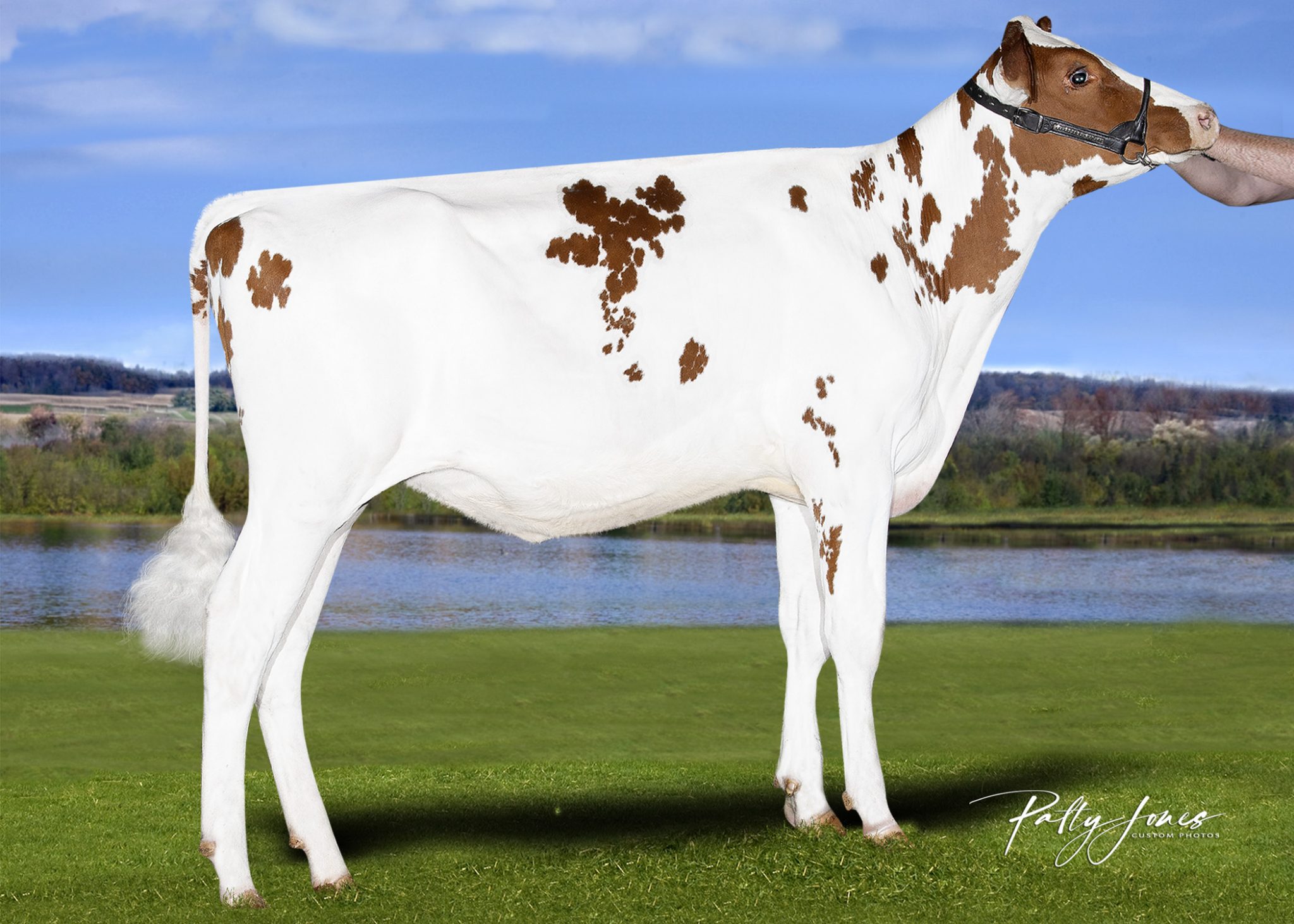 Donors – Stanton Genetics