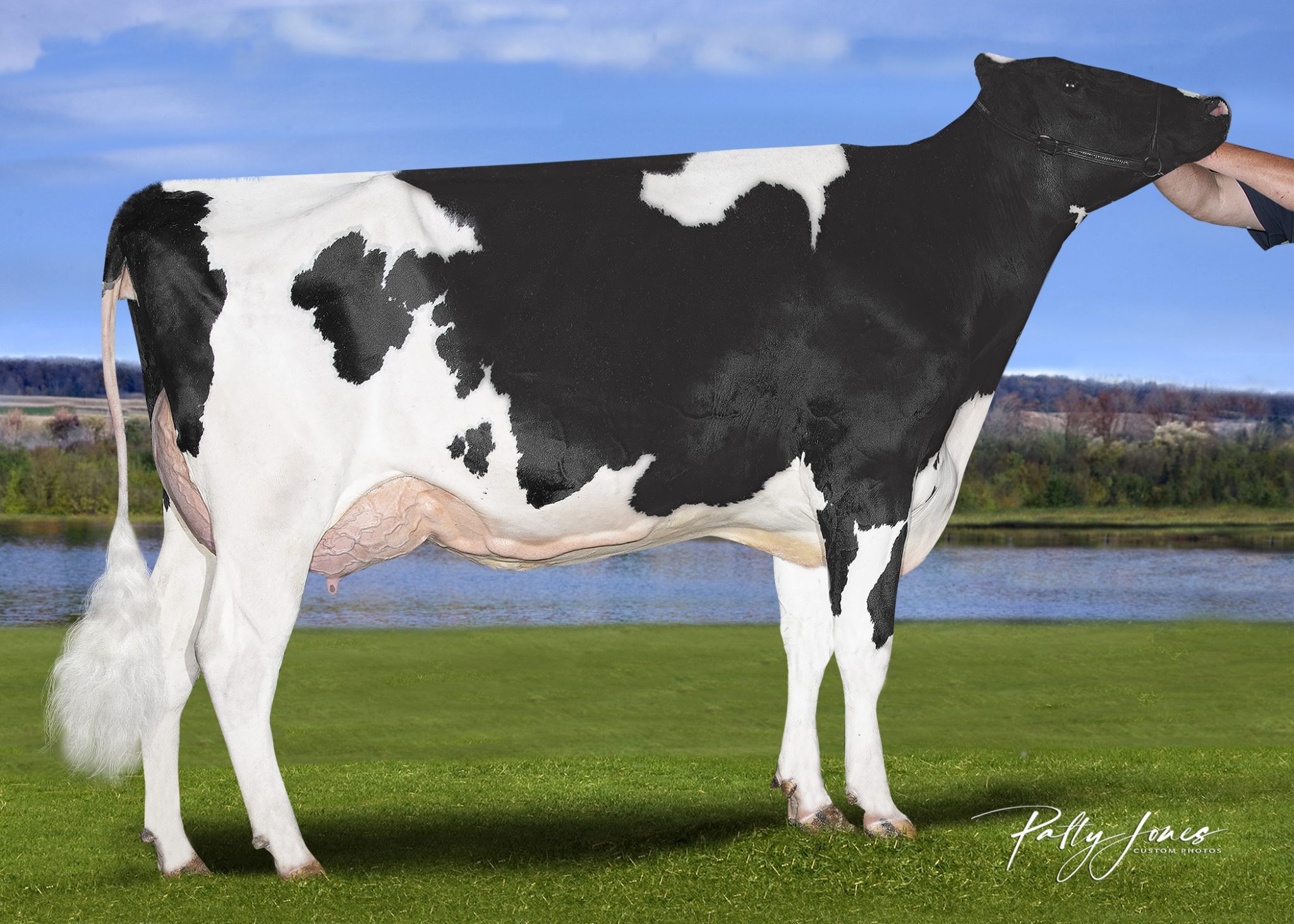 Nalaqueen – Stanton Genetics