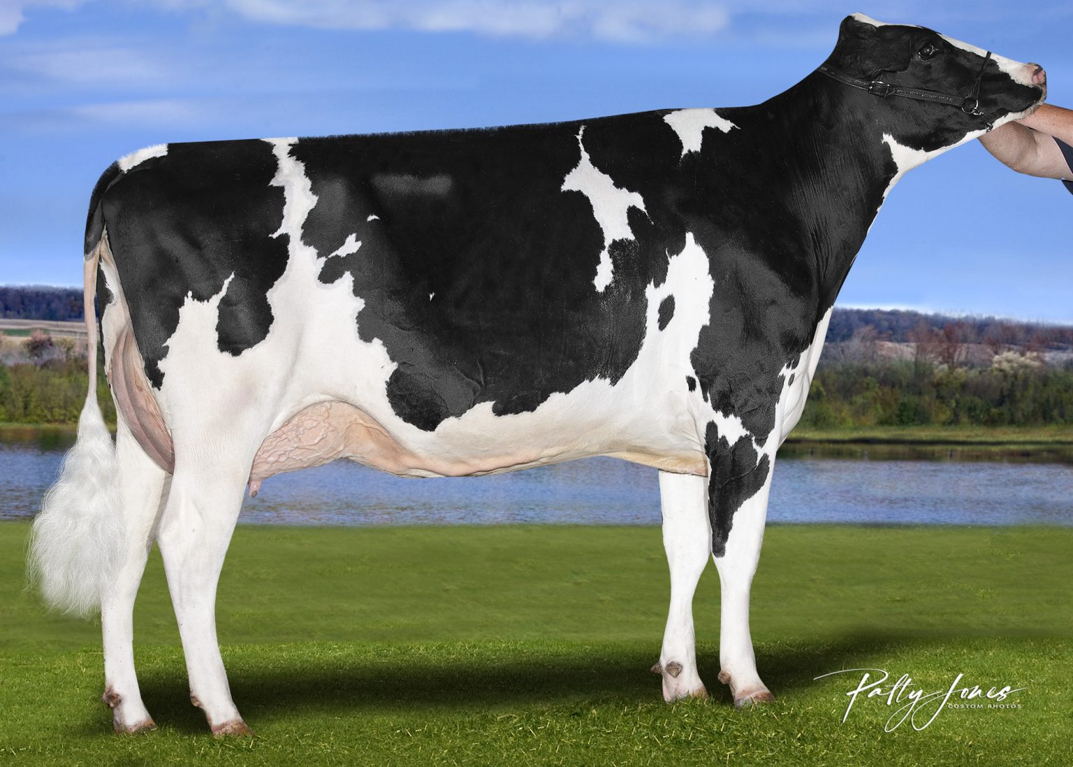 Stanton Genetics | Sustainable Holstein Dairy Farm | Innovation in Family Farming