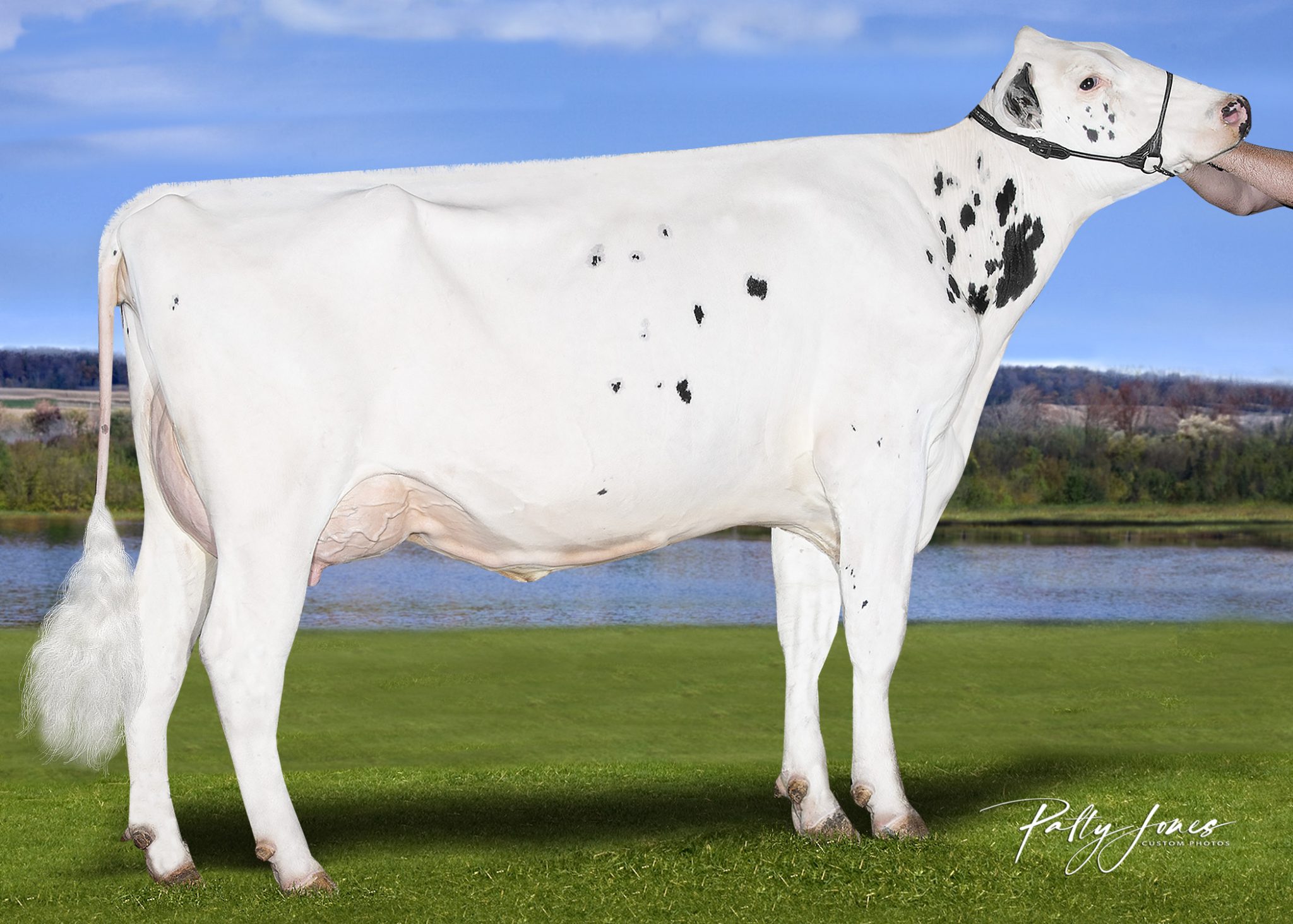 Offspring – Stanton Genetics