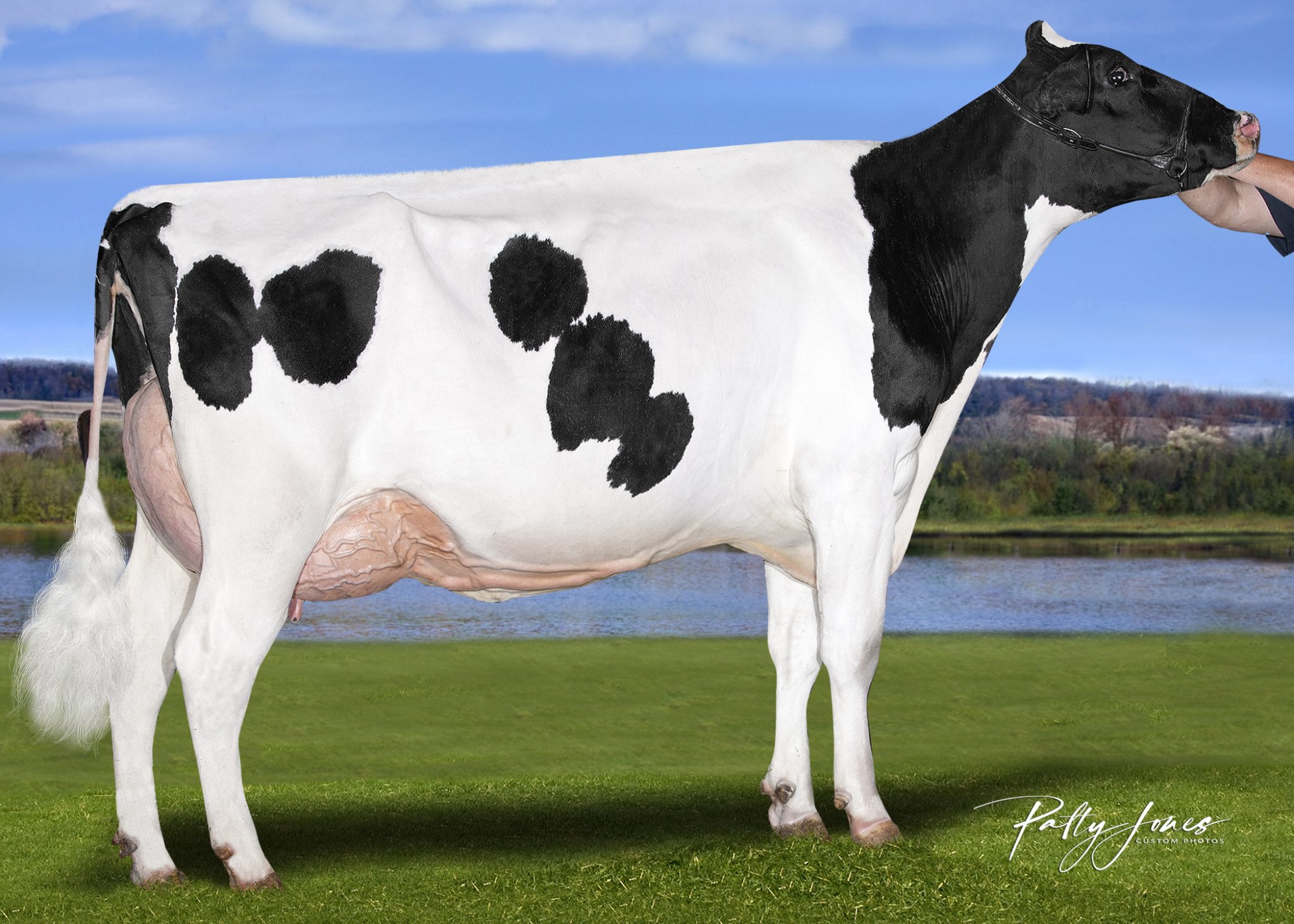 Stanton Genetics | Sustainable Holstein Dairy Farm | Innovation in ...