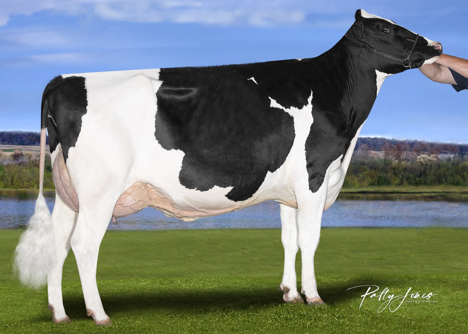 Stanton Genetics | Sustainable Holstein Dairy Farm | Innovation in ...