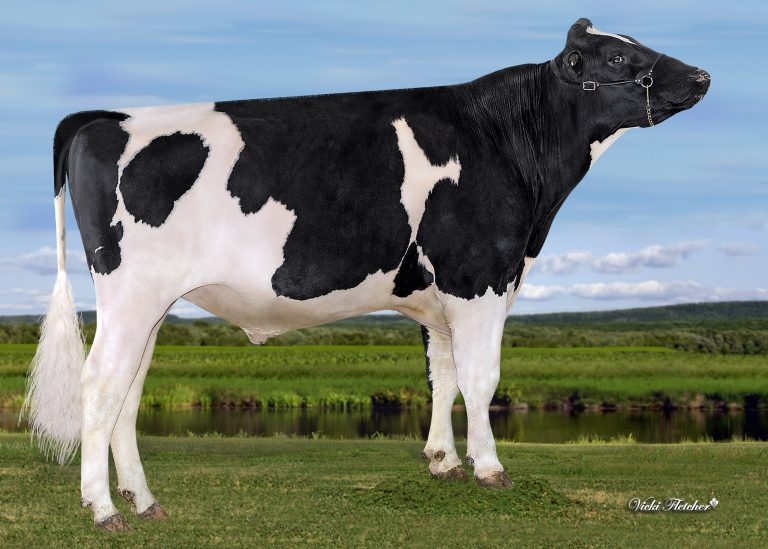 Stanton Genetics | Sustainable Holstein Dairy Farm | Innovation in ...